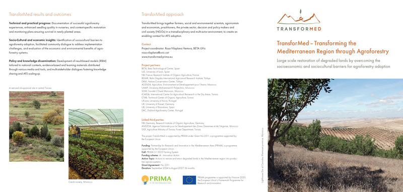 TransforMed - Flyer & Roll-up